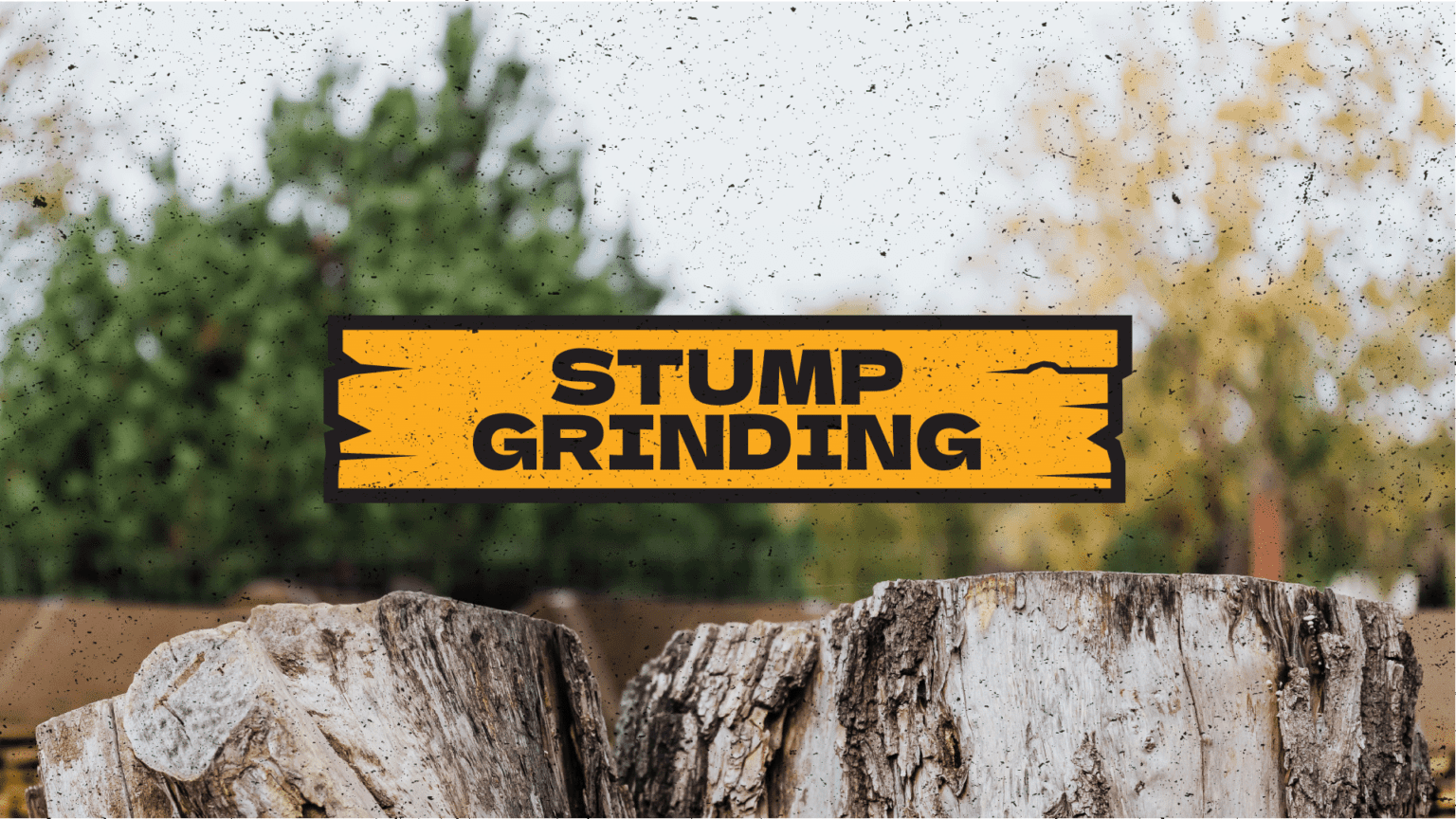 Taupo Arborist | Tūrangi Tree Fellas